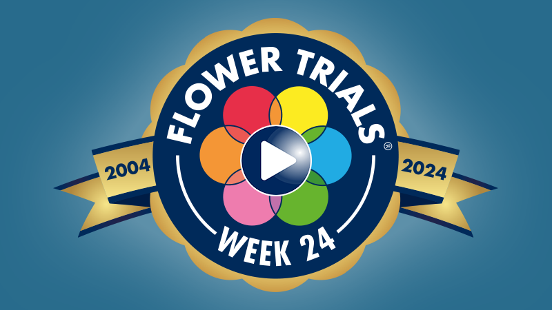 FlowerTrials® 2025 | The pot and bedding plant event