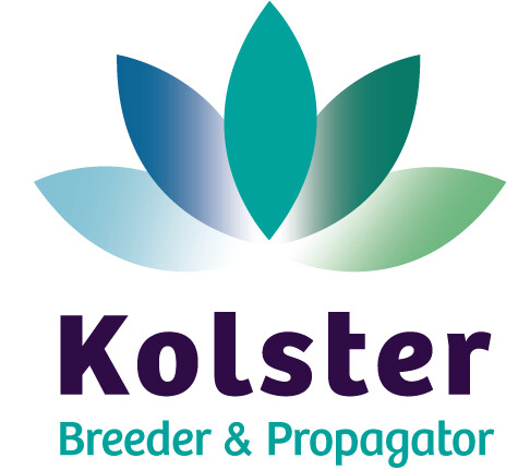 Kolster BV